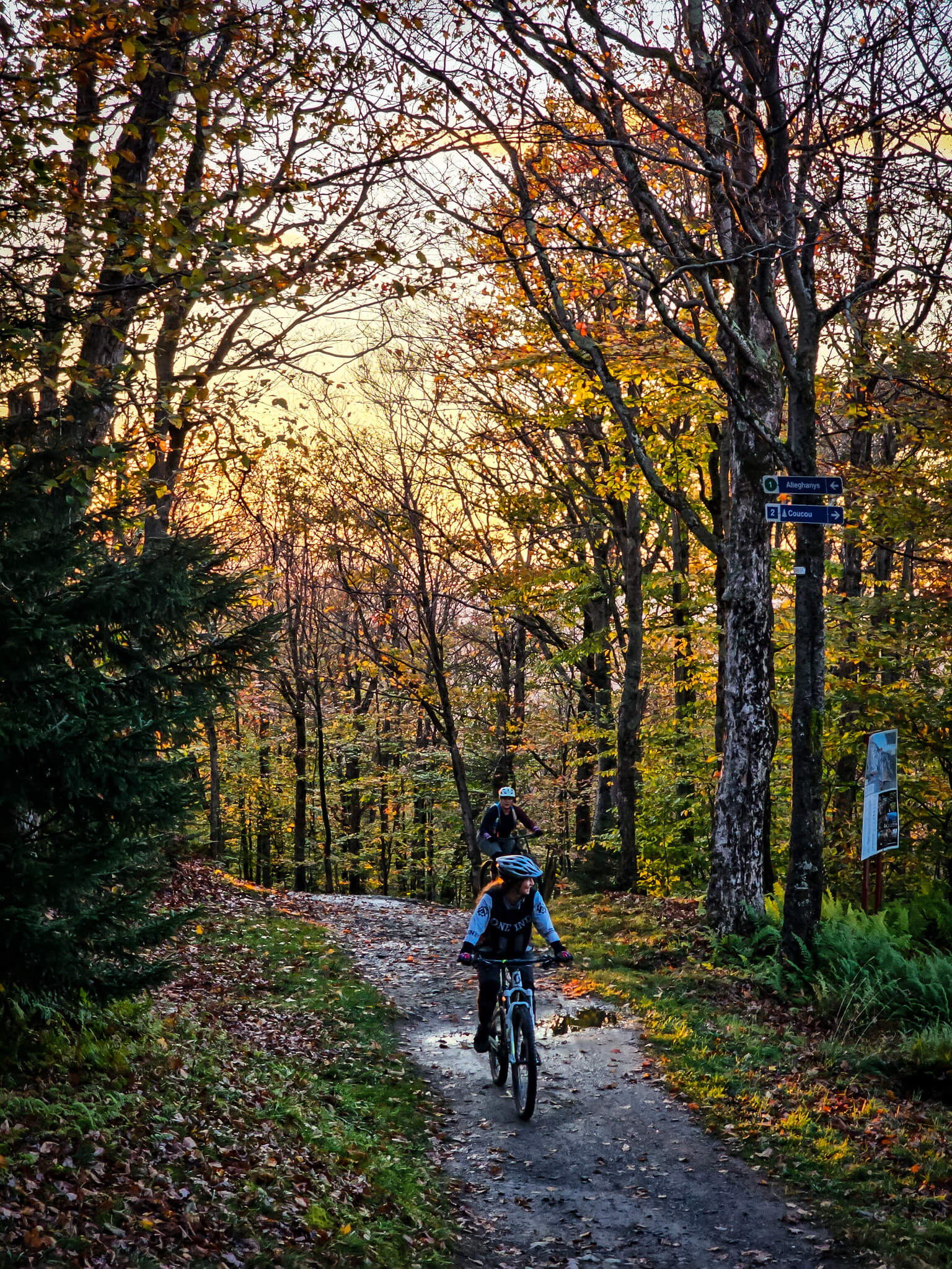 Festival d'automne du Mont SUTTON : 5 week-ends de couleurs et de ...